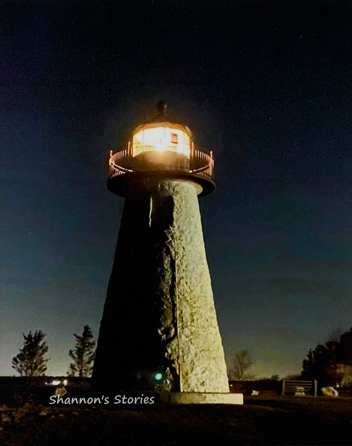 Spring It On_2022-20 – Gallery X