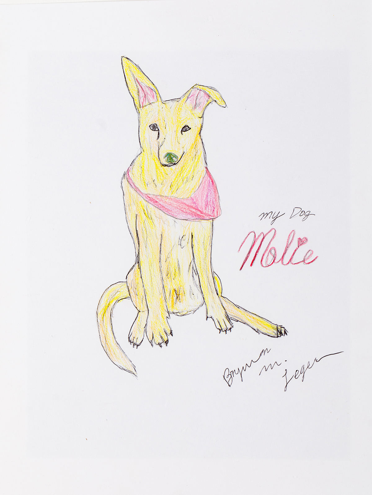 My Dog Molie by Brynn M. Leger – Gallery X