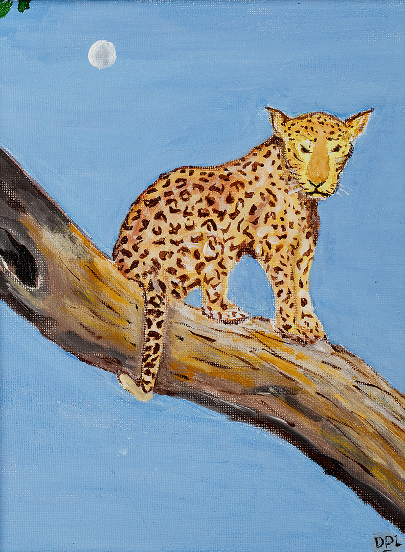 Leopard Moon by David LeComte – Gallery X