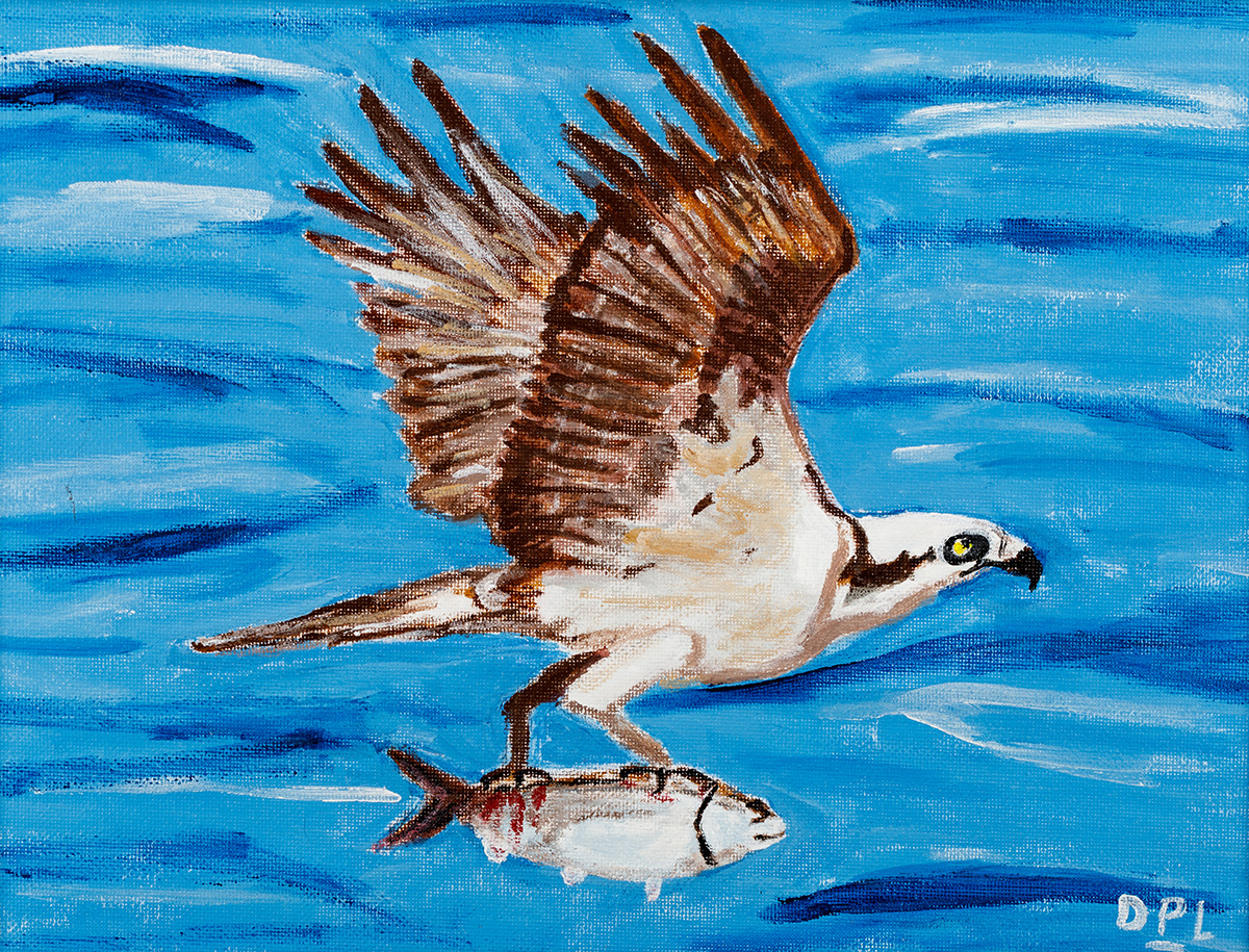 Sea Hunt by David LeComte – Gallery X